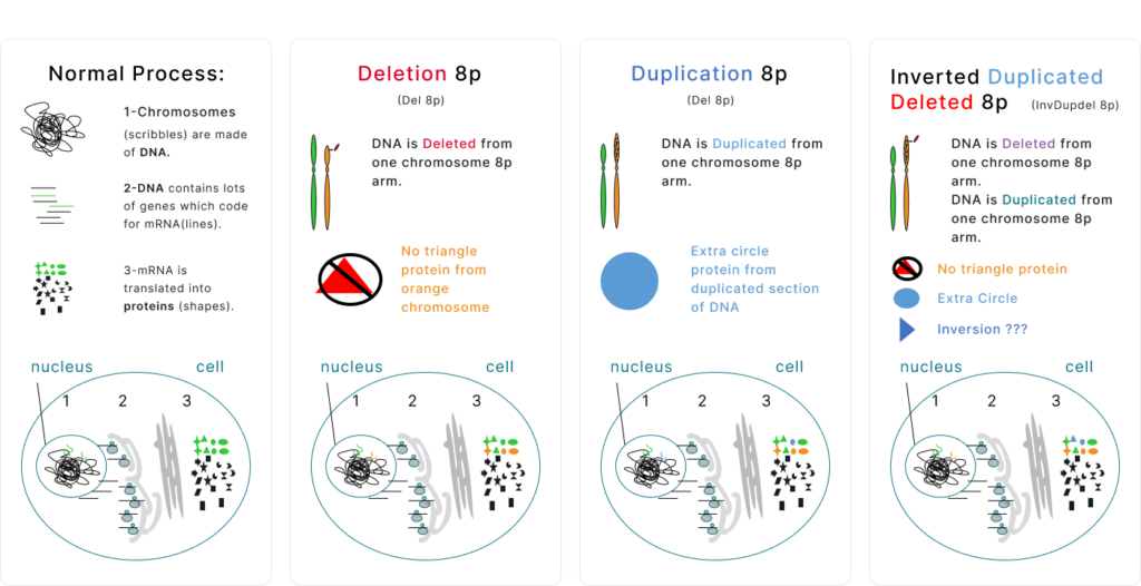 8p Genetics - Project8p