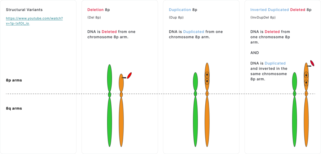 8p Genetics - Project8p