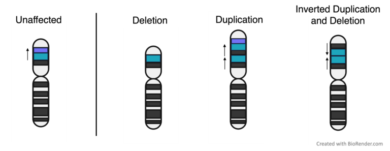 8p Genetics - Project8p